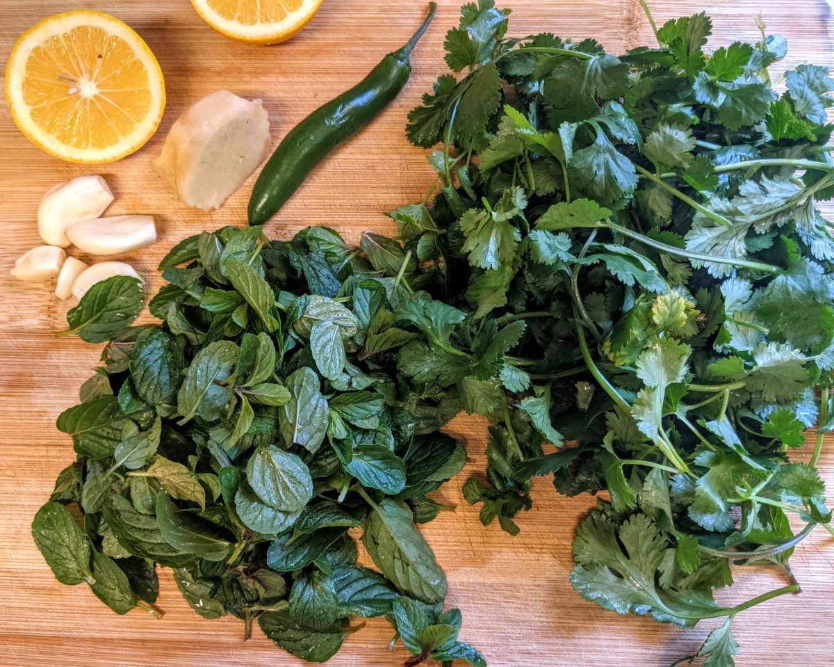 Mint Coriander Chutney Recipe